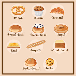 Different types of bread with name Royalty Free Vector Image
