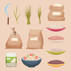 Rice Sack Drawing Vector Images (over 690)