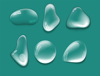 Set of 3d realistic blue water drops with shadow Vector Image