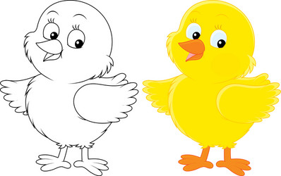 Chick Vector Images (over 28,000)