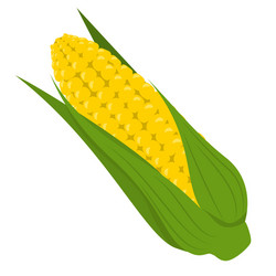 Corn yellow flat icon food natural Royalty Free Vector Image