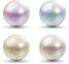 Pearls set Royalty Free Vector Image - VectorStock