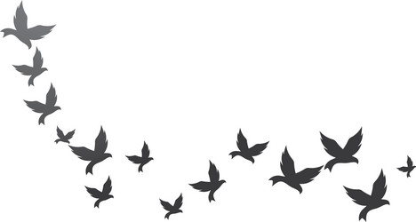 Bird background template Royalty Free Vector Image
