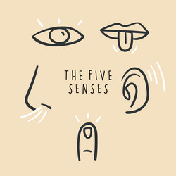 Face with Five Senses Cartoon Vector Images (over 160)