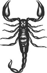 Scorpion Vector Images (over 7,300)