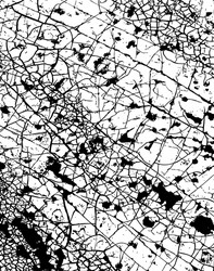 Craquelure pattern grunge cracks cracked painted Vector Image