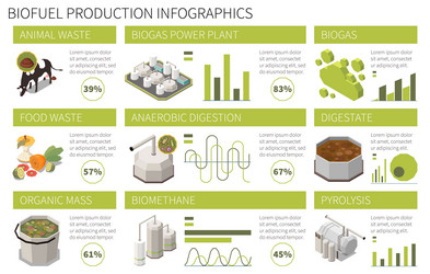 Biofuel production infographics Royalty Free Vector Image