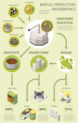 Biofuel production infographics Royalty Free Vector Image
