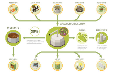 Biofuel production infographics Royalty Free Vector Image