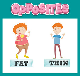 Opposite words for fat and thin Royalty Free Vector Image