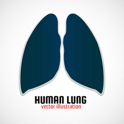 Lungs with shadow on a white background medical Vector Image