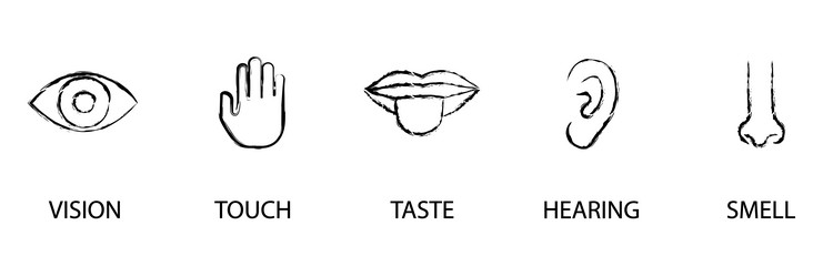 Face with Five Senses Cartoon Vector Images (over 160)