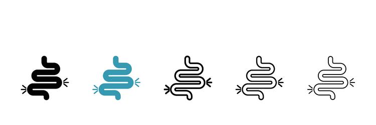 Gut constipation icon set intestine and bowel Vector Image