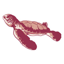 Sea Turtle Vector Images (over 17,000)