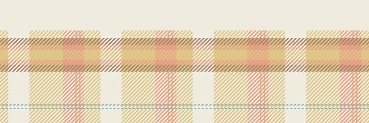 Gender neutral seamless plaid border Royalty Free Vector