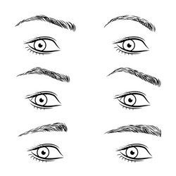 Eyebrows Vector Images (over 25,000)