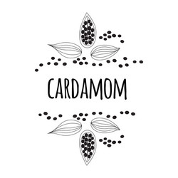 Cardamom Logo Vector Images (over 390)