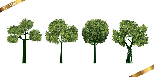 Trees realistic set Royalty Free Vector Image - VectorStock