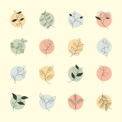Delicate Vector Images (over 70,000)