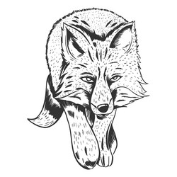 Fox Vector Images (over 54,000)