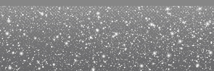 Snow Falling Gif Transparent