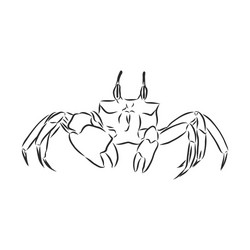 Blue Crab Outline Vector Images (over 550)