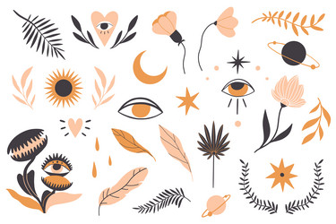 Magic plants herbology Royalty Free Vector Image