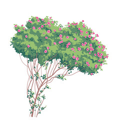 Green bushes and tree crown with white flowers Vector Image