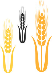 Barley Vector Images (over 35,000)