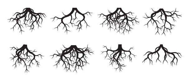 Tree roots isolated collection nature root Vector Image