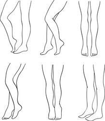 Female legs Royalty Free Vector Image - VectorStock