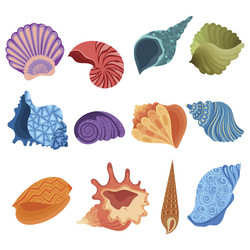 Cartoon seashells summer beach sea shells Vector Image