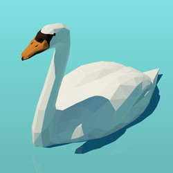 Animal flashcard with swan on water Royalty Free Vector