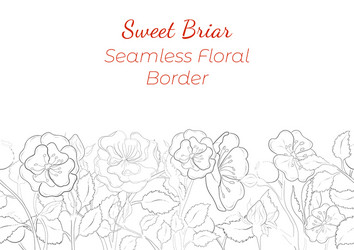 Briar Roses Vector Images (over 880)