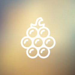 Lanzones Vector Images (10)