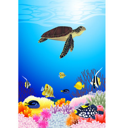 Green sea turtle life cycle Royalty Free Vector Image
