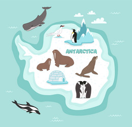 Map of antarctica continent with different animals