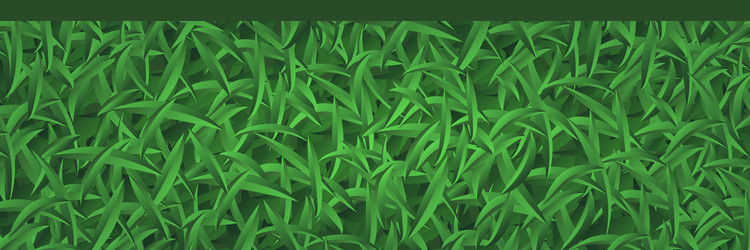 Realistic yellow-green grass lawn background Vector Image