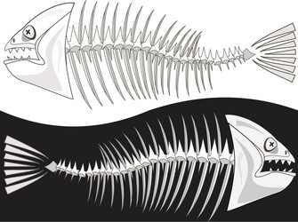 King salmon skeleton drawing Royalty Free Vector Image