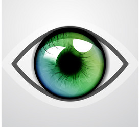 Taurus golden zodiac sign horoscope symbol Vector Image