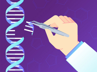 Crispr - gene editing tool genetic engineering Vector Image
