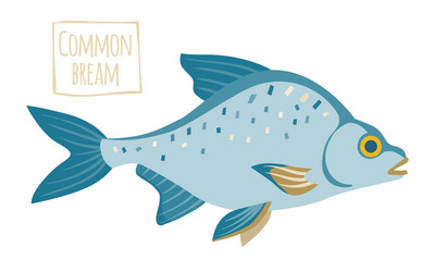 Bream Vector Images (over 1,000)