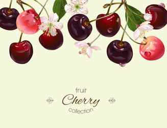 Cherry Vector Images (over 140,000)