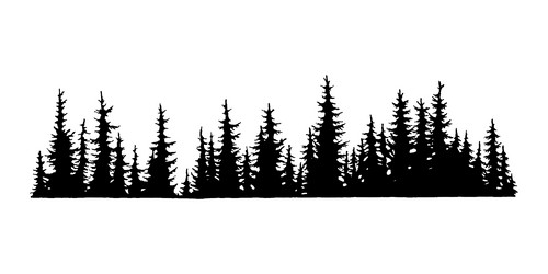 Hand drawn forest silhouette design trees Vector Image