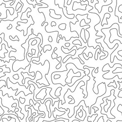 Abstract circular map pattern with wavy lines Vector Image