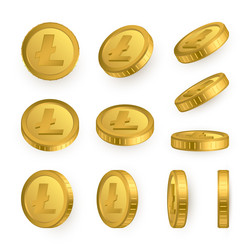 Send litecoin Royalty Free Vector Image - VectorStock