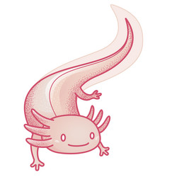 Single continuous line drawing beauty axolotl Vector Image