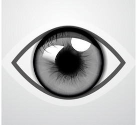 Eye button Royalty Free Vector Image - VectorStock