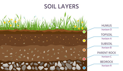 Diagram showing different layers soil Royalty Free Vector