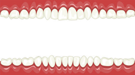 Teeth Vector Images (over 140,000)